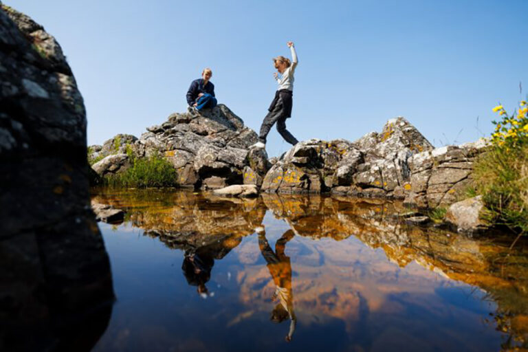 Rewilding Danmark - Rewilding Danmark